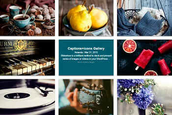 Photo Gallery Examples. WordPress Gallery Plugin by Supsystic