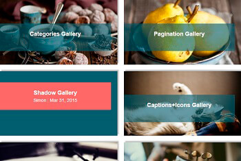 Photo Gallery Examples. WordPress Gallery Plugin by Supsystic