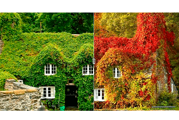 Comparison Slider PRO | WordPress Slider Plugin Examples | Supsystic WP ...